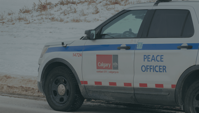 By-Law Newsletter: Peace Officers Jurisdiction and Liability - Reynolds ...