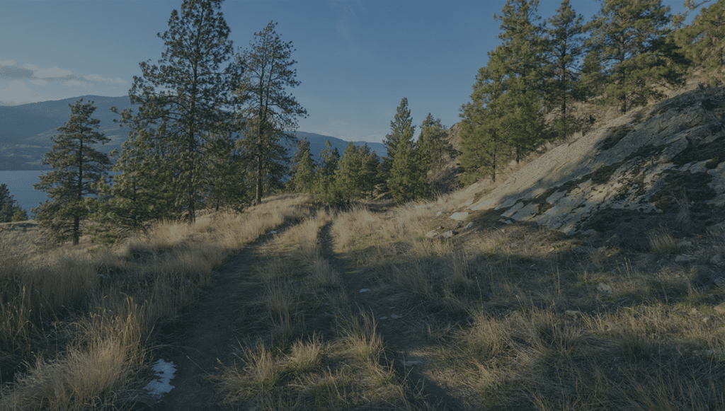 The Power of Estoppel in Land Acquisition - Reynolds Mirth Richards ...